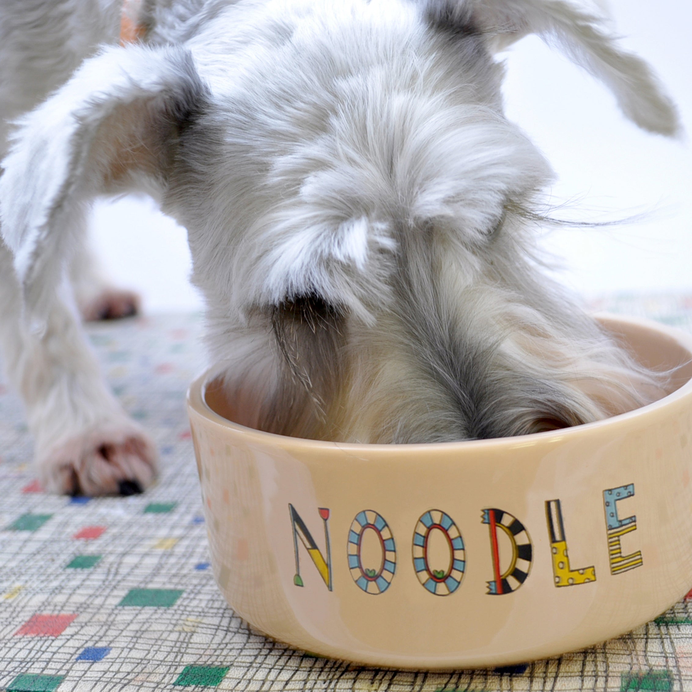 Pet Bowls – Mary Fellows